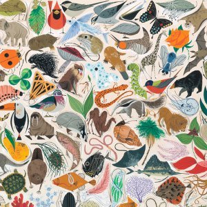 Animal I-Spy Board | AllFreeKidsCrafts.com