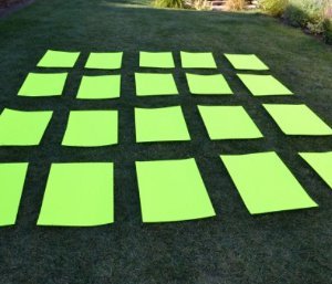 Stunning Crepe Paper Peonies | AllFreePaperCrafts.com