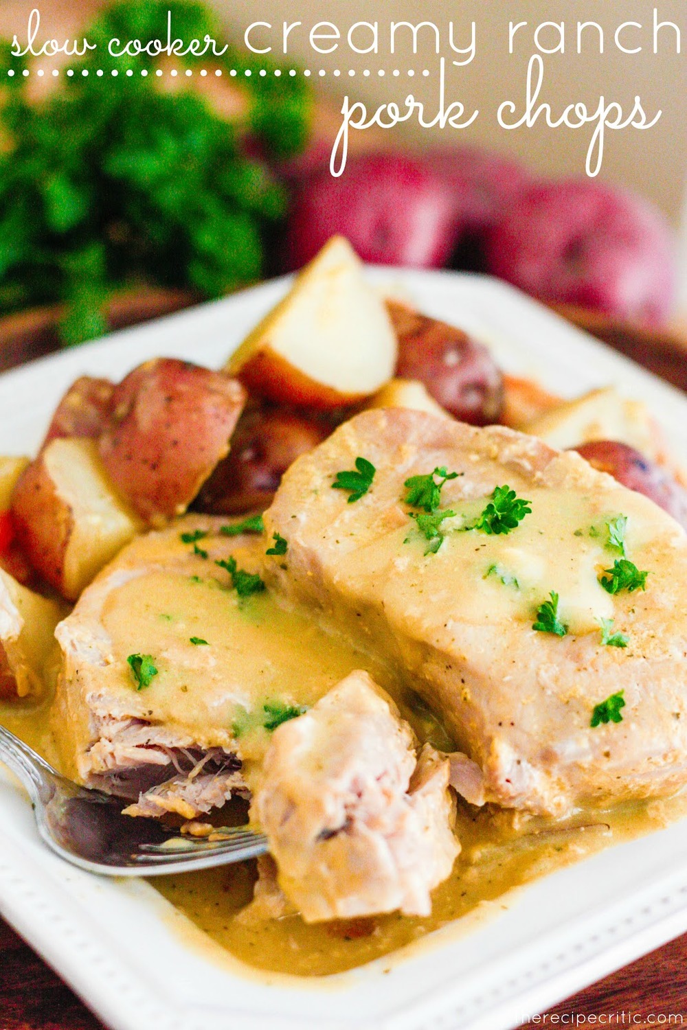 Slow Cooker Creamy Ranch Pork Chops | AllFreeSlowCookerRecipes.com