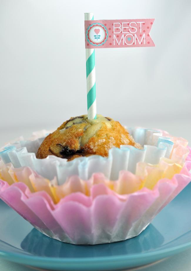 Mother's Day Flower Cupcake Wrappers | AllFreeKidsCrafts.com