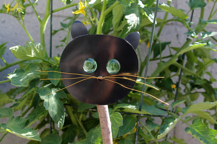 Scaredy Cat DIY Garden Stake | FaveCrafts.com