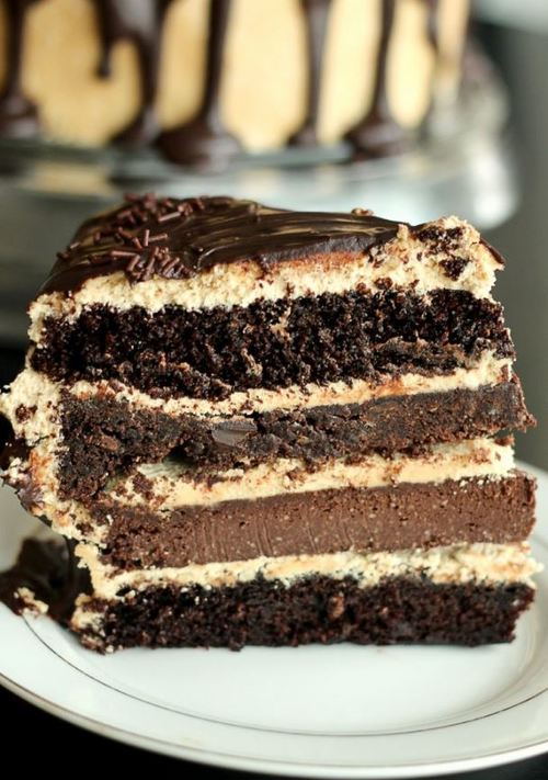 Our Best Cake Recipes | RecipeLion.com