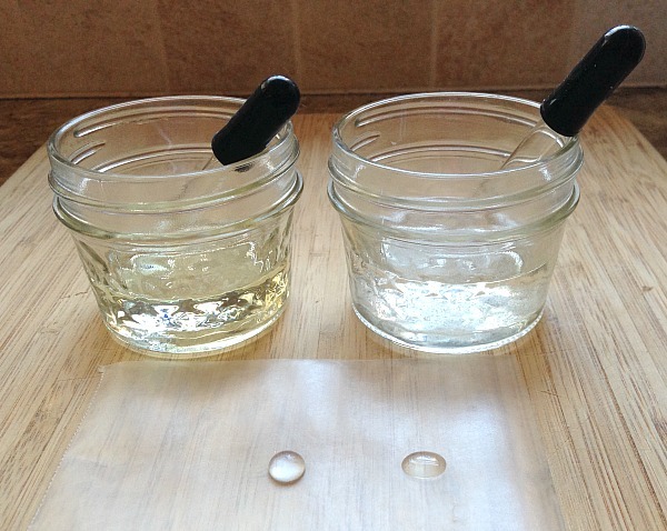 Surface Tension Science Experiment | AllFreeKidsCrafts.com