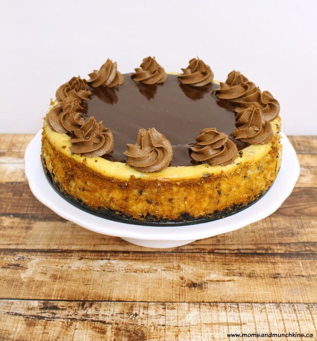 Chocolate Macaroon Cheesecake | TheBestDessertRecipes.com