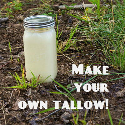 Make Your Own Beef Tallow | DIYIdeaCenter.com