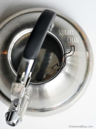 How to Clean a Tea Kettle | DIYIdeaCenter.com