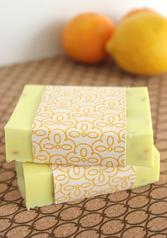 Natural Citrus Antibacterial Soap | DIYIdeaCenter.com