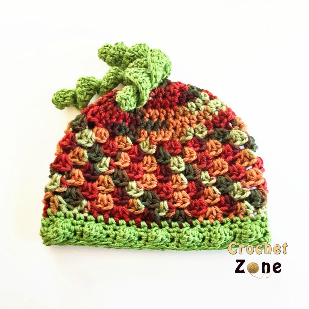 Fall Harvest Beanie | AllFreeCrochet.com
