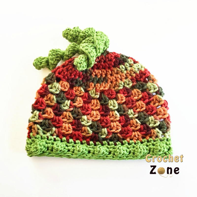Fall Harvest Beanie | AllFreeCrochet.com