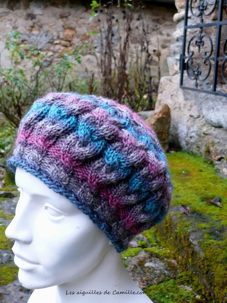 Twisted Braids Hat | AllFreeKnitting.com