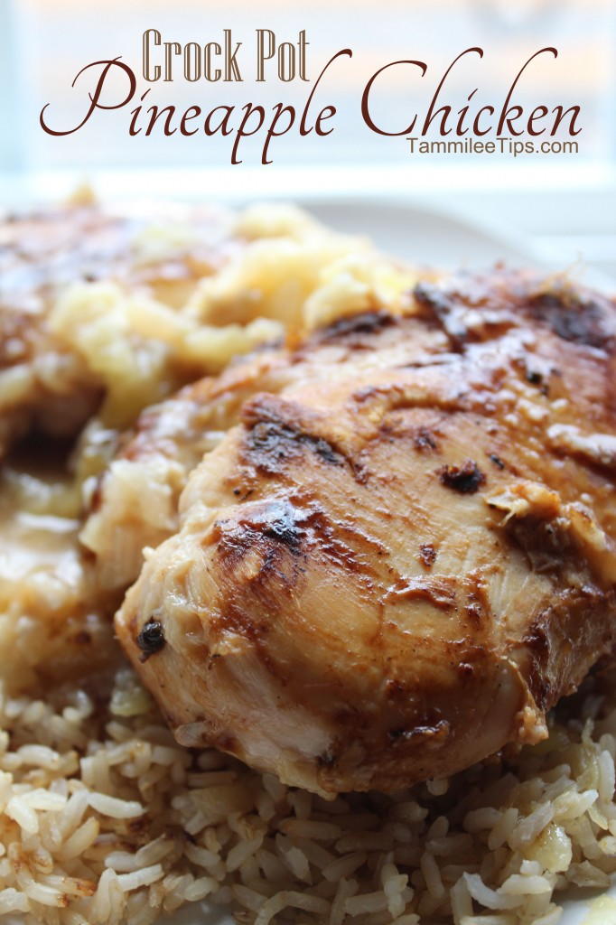 Vacation Chicken | AllFreeSlowCookerRecipes.com