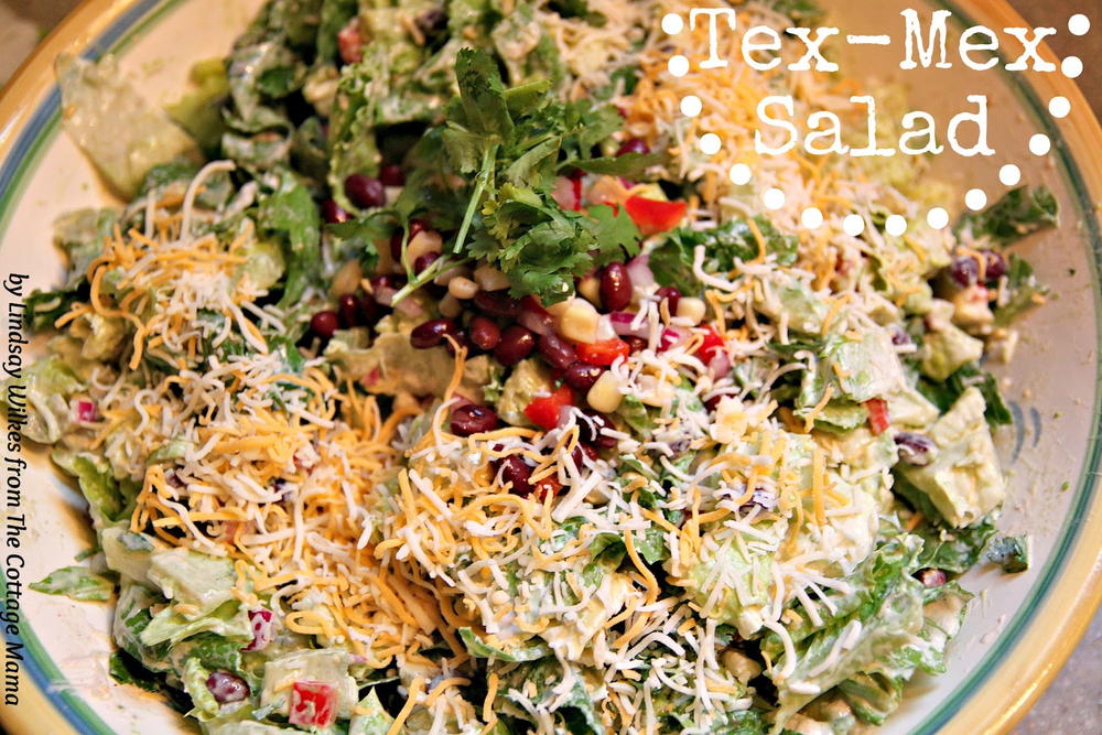 Tex-Mex Salad | AllFreeCopycatRecipes.com