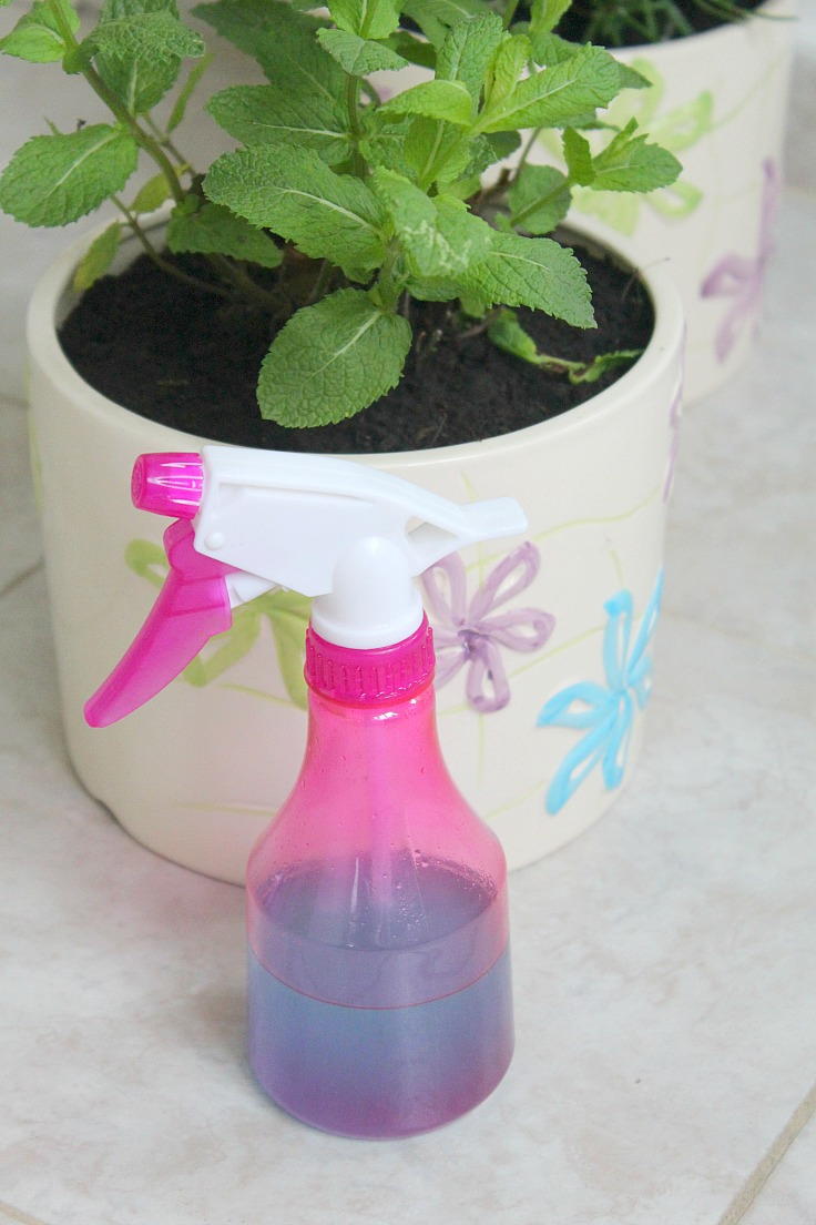 DIY Natural Window Cleaner | DIYIdeaCenter.com
