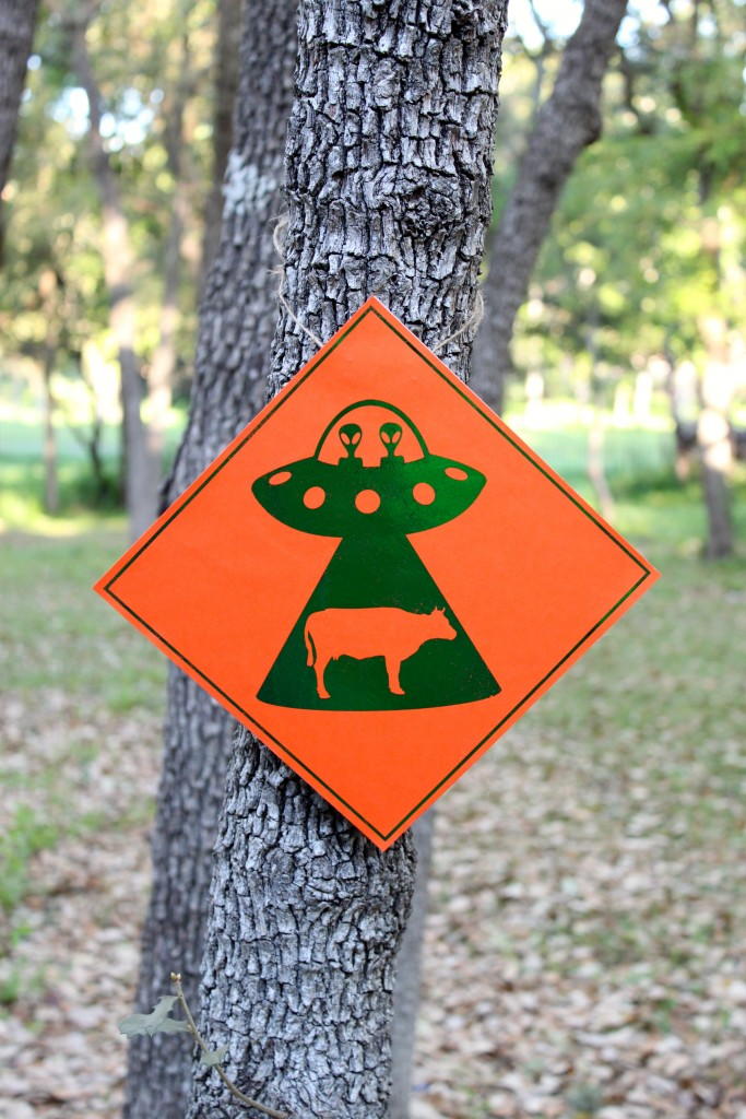 The Truth is Out There Sign | FaveCrafts.com