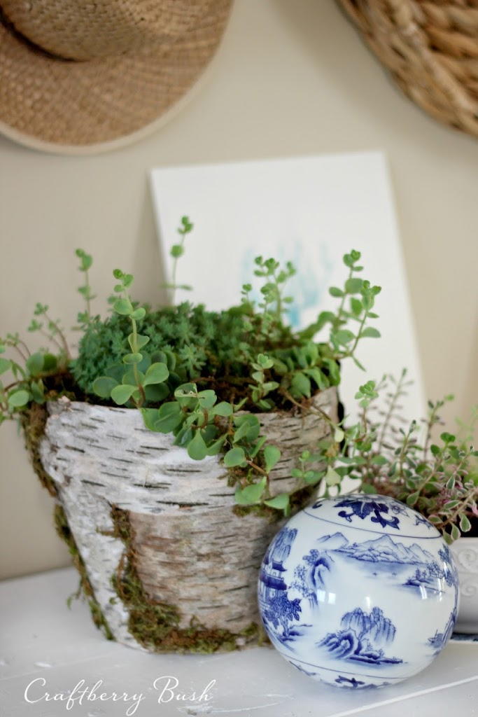 Elegant Birch DIY Planters | AllFreeHolidayCrafts.com