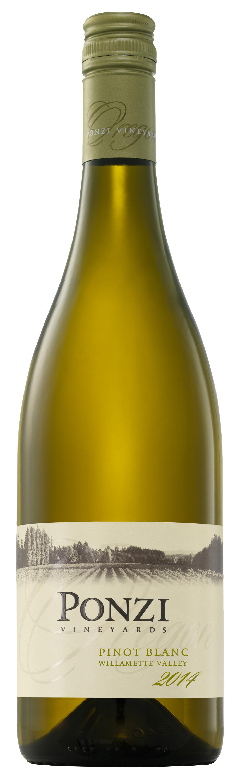 Ponzi Pinot Blanc 2014 | TheWineBuyingGuide.com