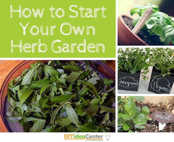 How to Start Your Own Herb Garden | DIYIdeaCenter.com