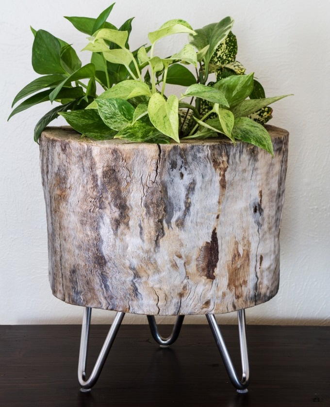 Tree Stump Idea DIY Planter | DIYIdeaCenter.com