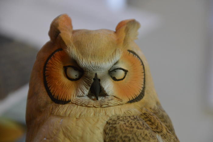 The Great Horned Owl in Miniature - Painting | wildfowl-carving.com