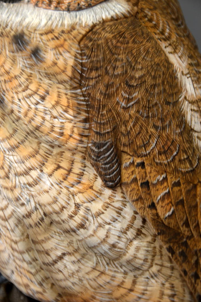 The Great Horned Owl in Miniature - Painting | wildfowl-carving.com