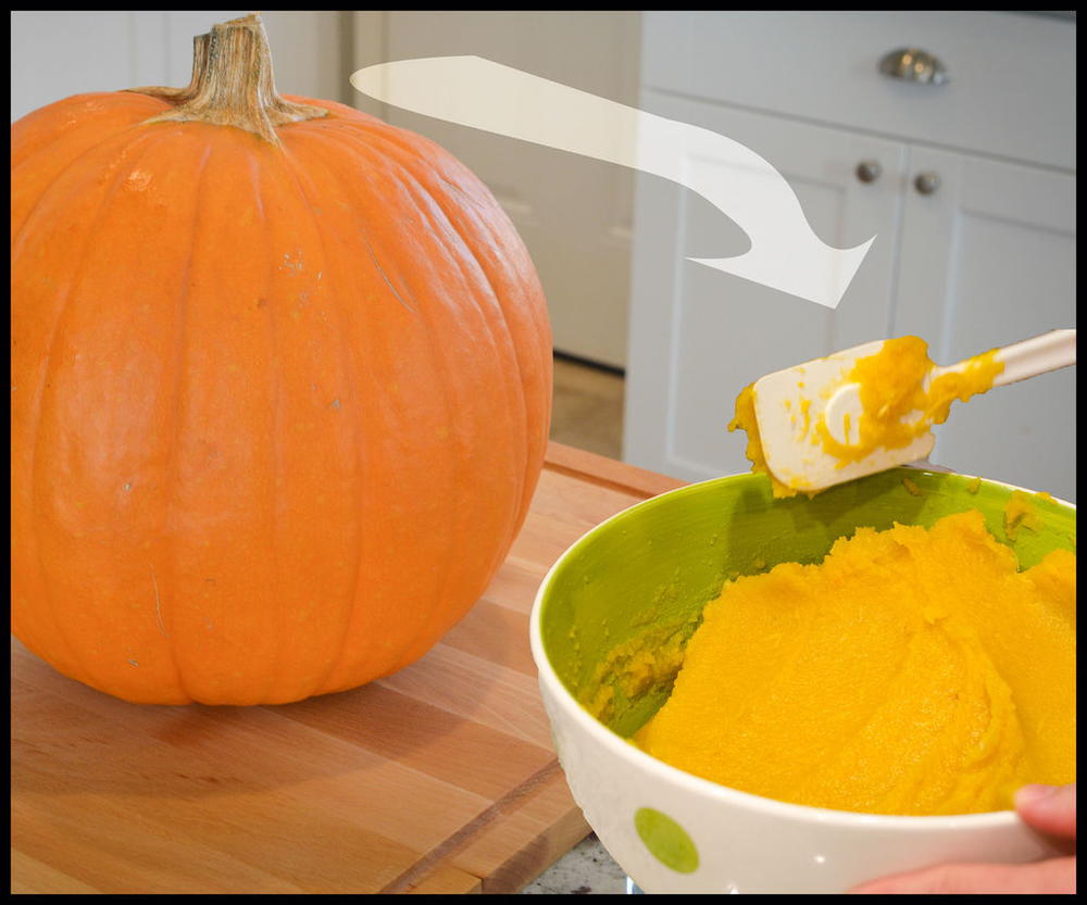How to Process a Pumpkin | DIYIdeaCenter.com