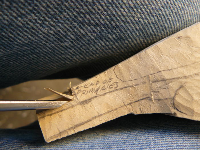 Eastern Bluebird, Part One | wildfowl-carving.com