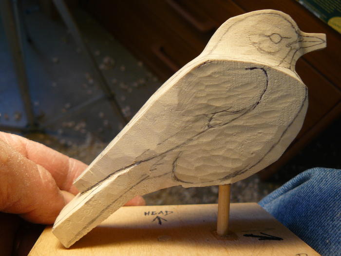 Eastern Bluebird, Part One | wildfowl-carving.com