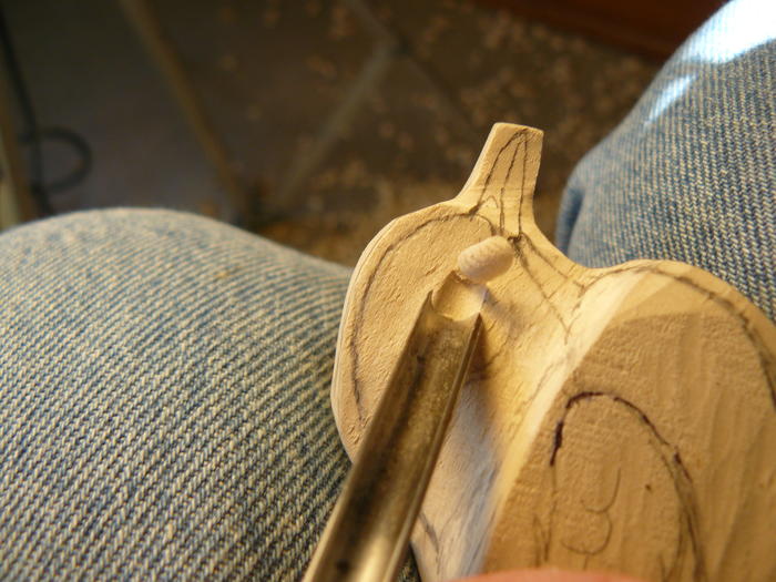 Eastern Bluebird, Part One | wildfowl-carving.com