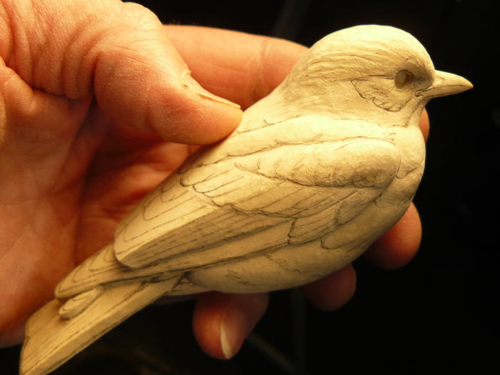 Eastern Bluebird, Part One | wildfowl-carving.com