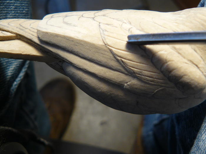 Eastern Bluebird, Part One | wildfowl-carving.com