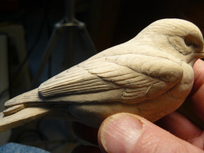 Eastern Bluebird, Part One | wildfowl-carving.com