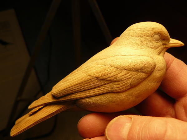 Eastern Bluebird, Part One | wildfowl-carving.com