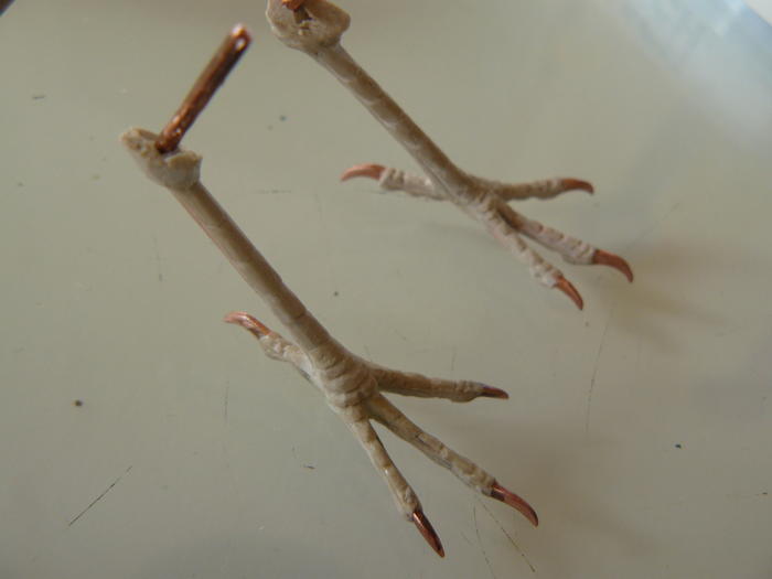 Eastern Bluebird, Part One | wildfowl-carving.com