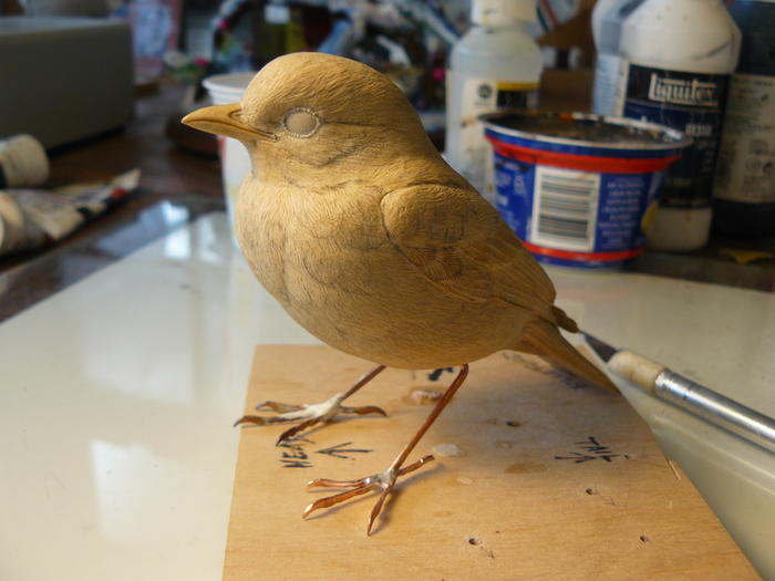 Eastern Bluebird, Part One | wildfowl-carving.com