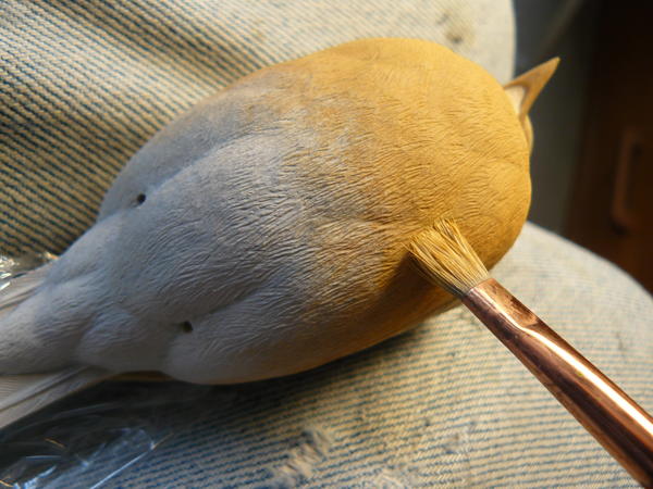 Eastern Bluebird, Part Two | wildfowl-carving.com