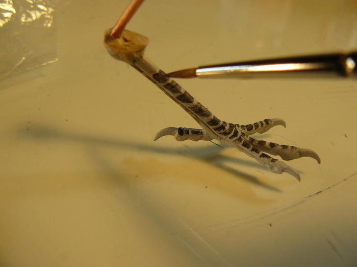 Eastern Bluebird, Part Two | wildfowl-carving.com