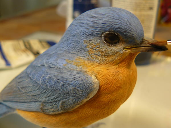 Eastern Bluebird, Part Two | wildfowl-carving.com