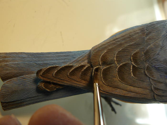 Eastern Bluebird, Part Two | wildfowl-carving.com