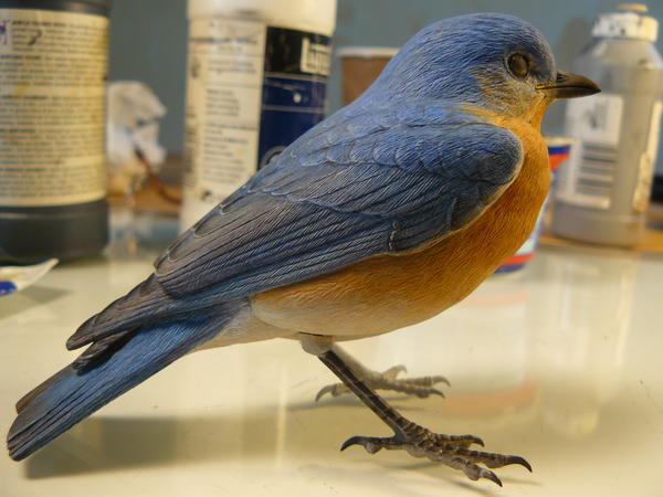 Eastern Bluebird, Part Two | wildfowl-carving.com
