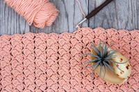 Raspberry Crochet Stitch | AllFreeCrochet.com