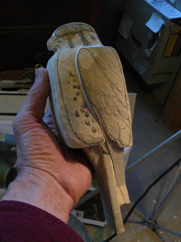 The Littlest Falcon | wildfowl-carving.com