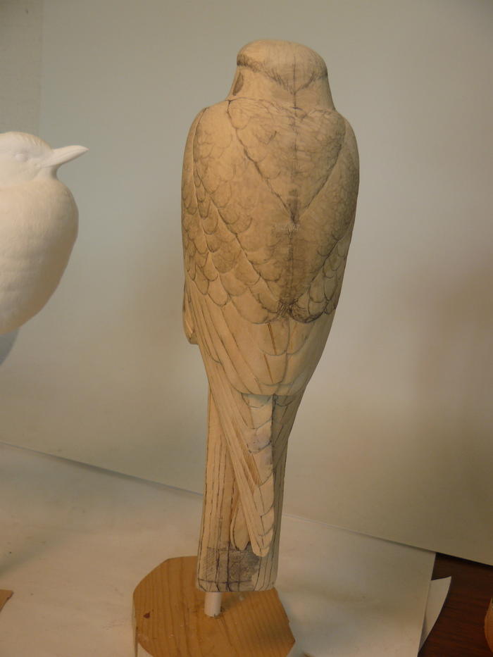 The Littlest Falcon | wildfowl-carving.com
