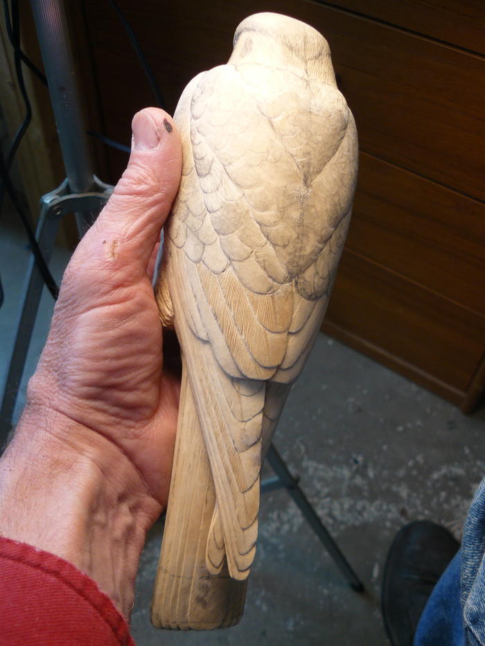 The Littlest Falcon | wildfowl-carving.com