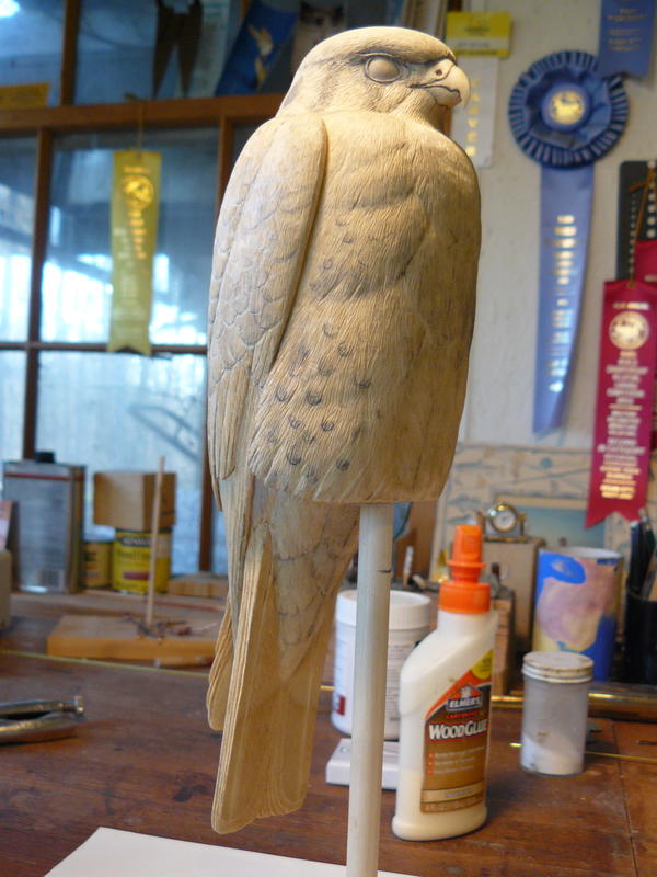 The Littlest Falcon | wildfowl-carving.com