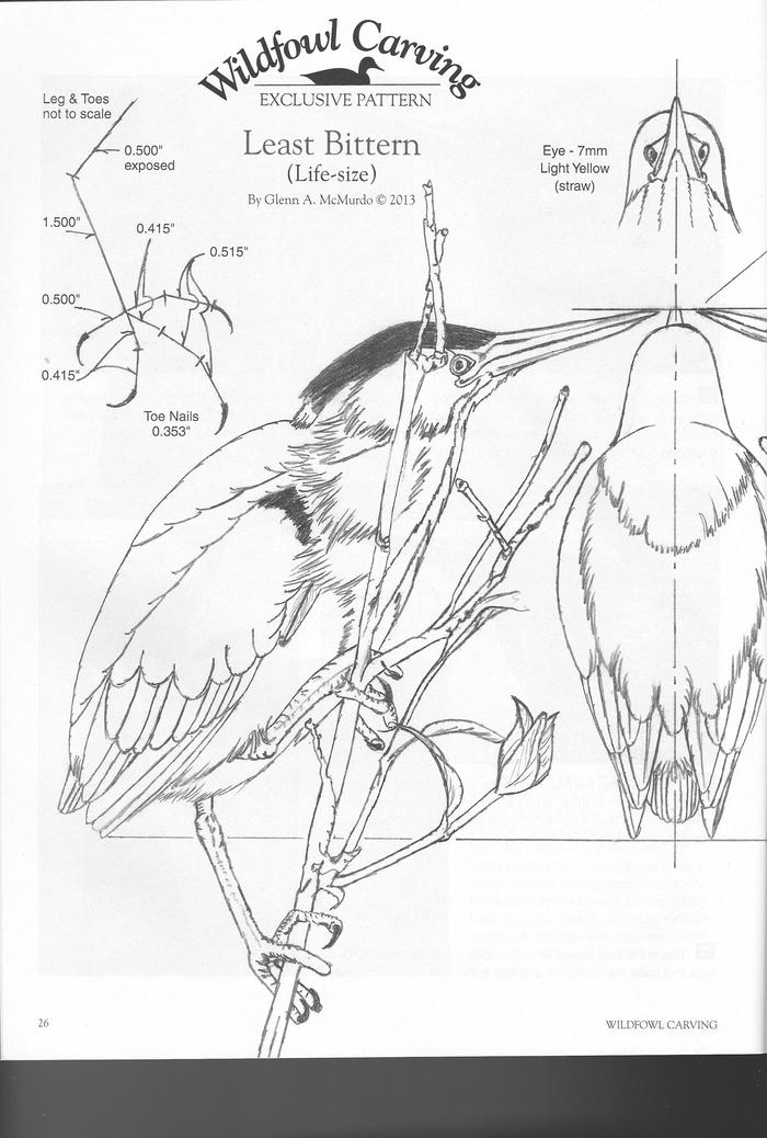 Least Bittern | wildfowl-carving.com
