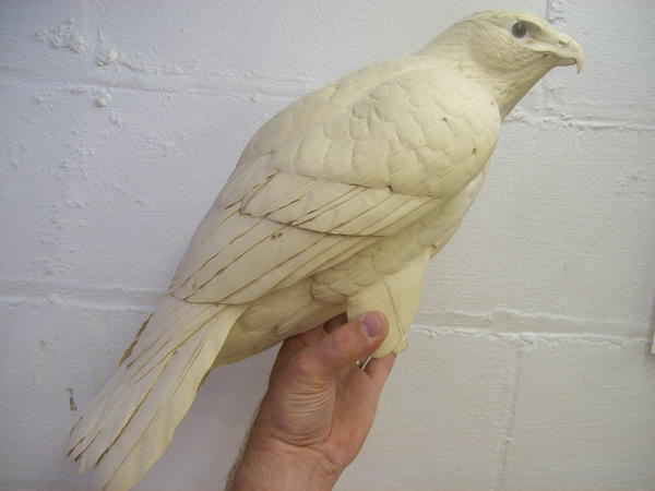 Hunting Partner | wildfowl-carving.com