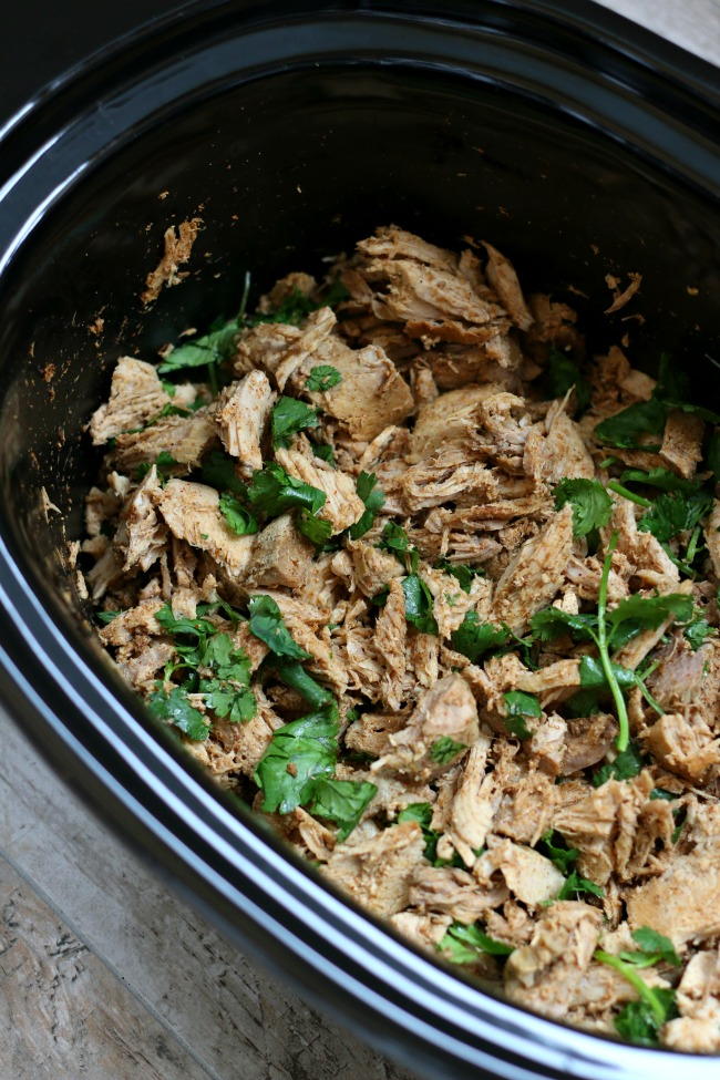 Slow Cooker Cilantro Lime Shredded Pork | AllFreeSlowCookerRecipes.com