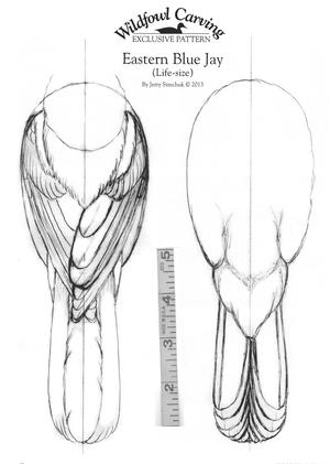 East Meets West: Carving the Eastern Blue Jay | wildfowl-carving.com