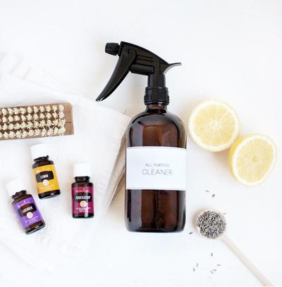 Homemade All Purpose Cleaner Spray | DIYIdeaCenter.com