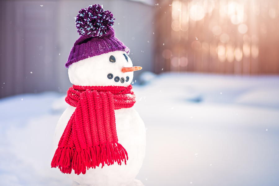 How to Build a Snowman | DIYIdeaCenter.com